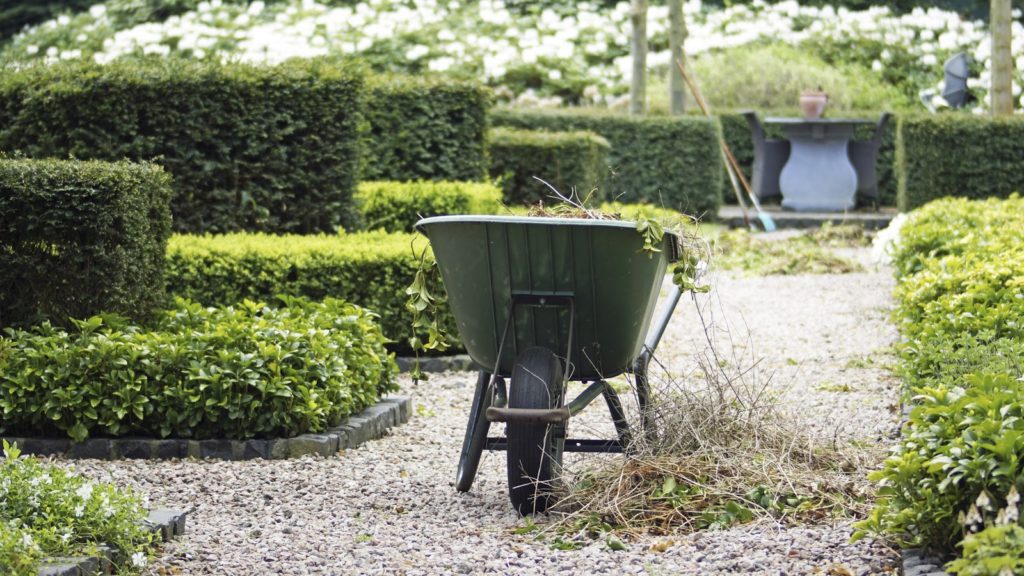 Local Gardeners: The Key To Unlocking Your Garden’s Potential