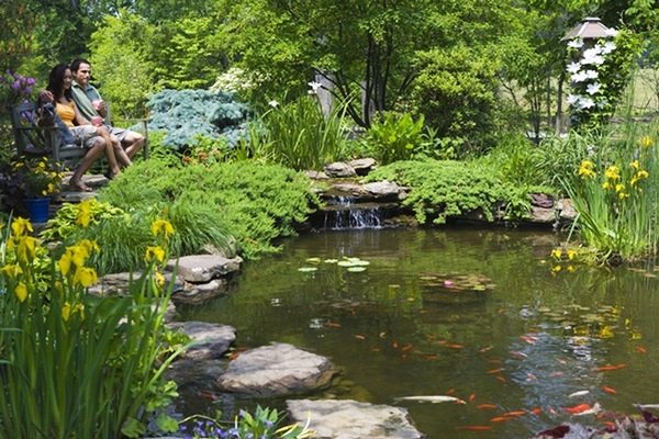 Garden Inspiration: How To Get An Amazing Garden